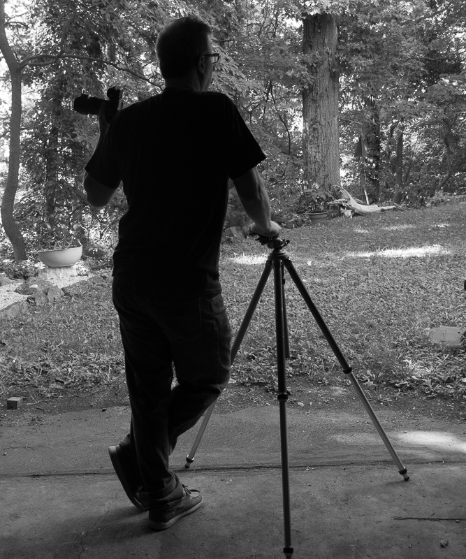 Acquire – Howard Lewis Photographs