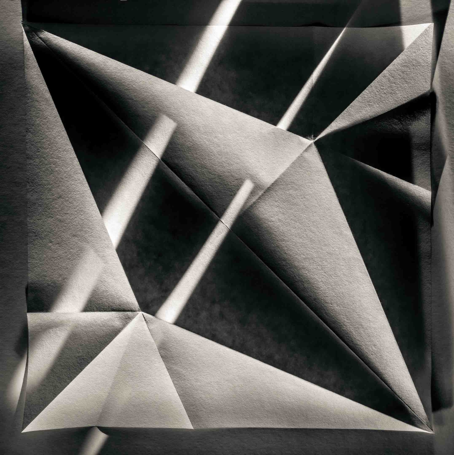 Origami Folds - Howard Lewis Photographs