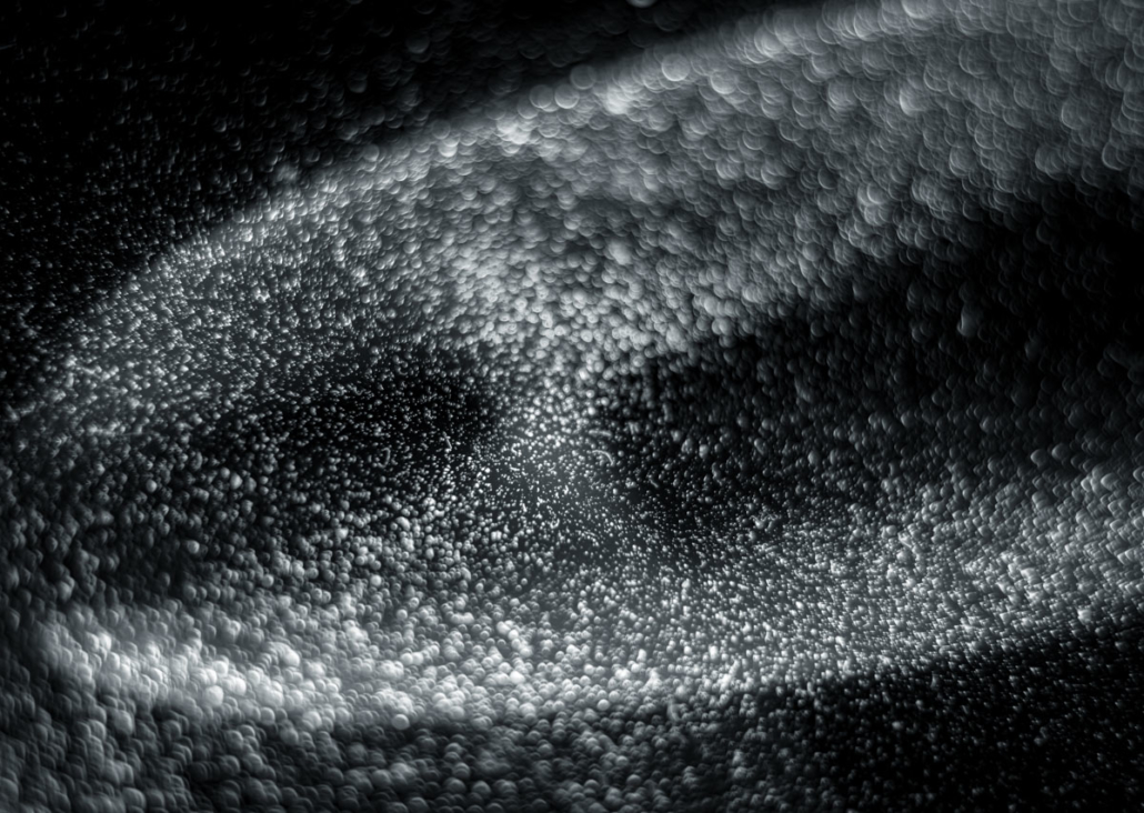 Nature of Particles - Howard Lewis Photographs