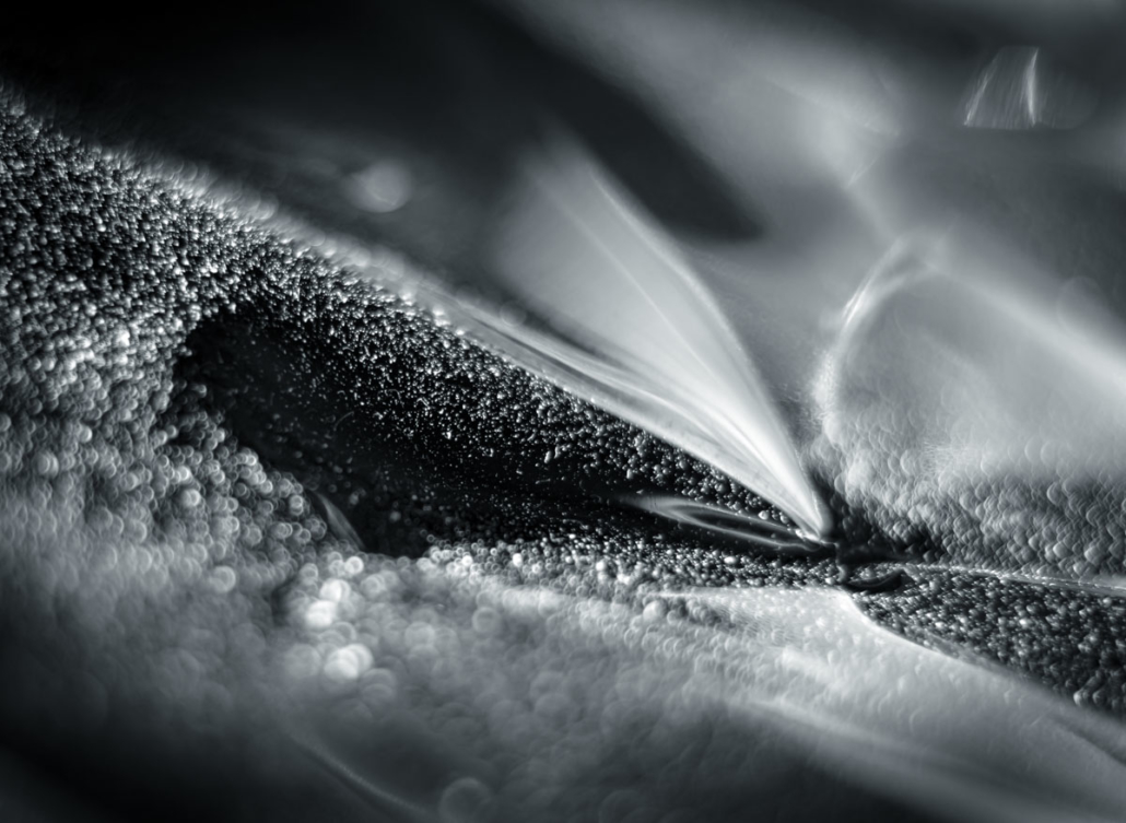 Nature of Particles - Howard Lewis Photographs