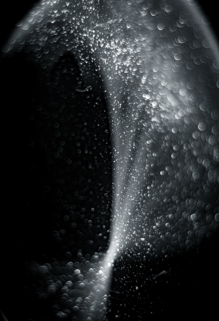 Nature of Particles - Howard Lewis Photographs