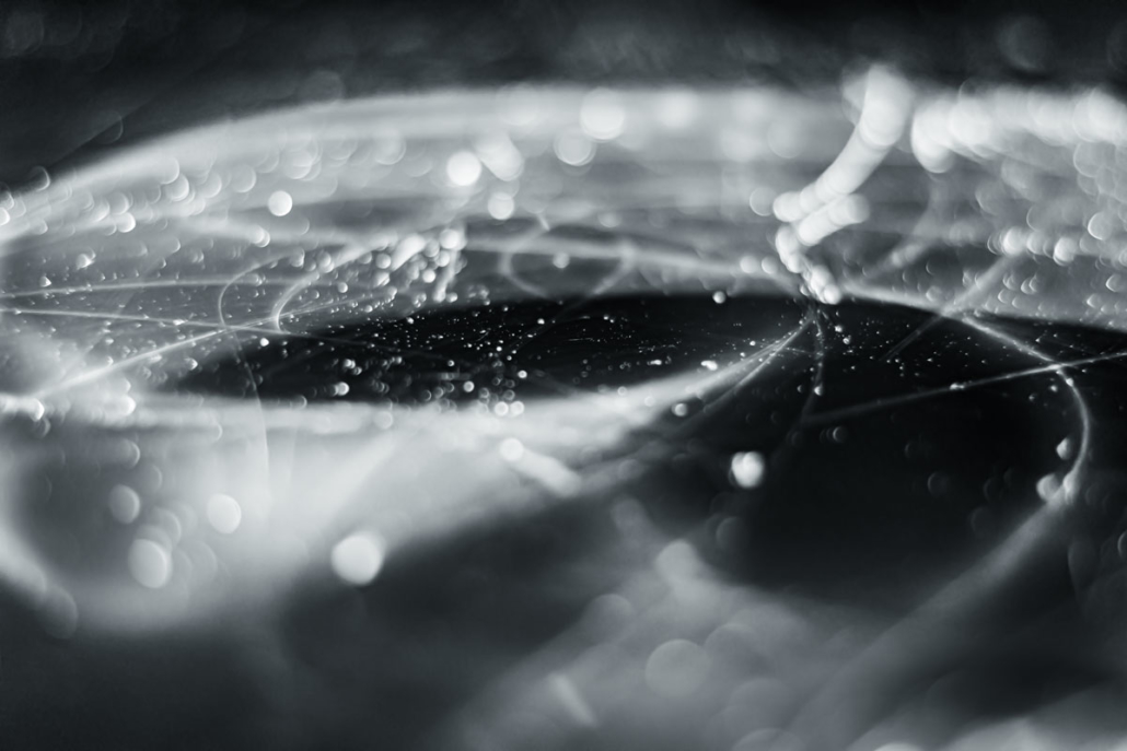 Nature of Particles - Howard Lewis Photographs
