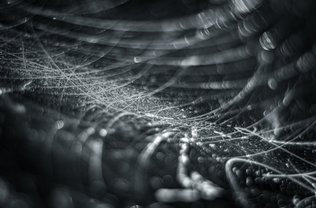 Nature of Particles - Howard Lewis Photographs